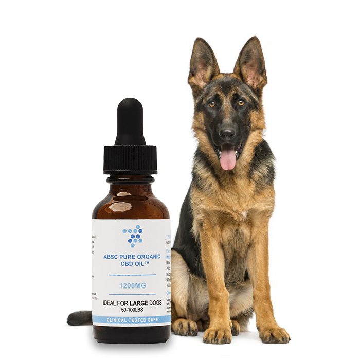1200 mg CBD Oil For Dogs | CBD Oil for Large Dogs | ABSC